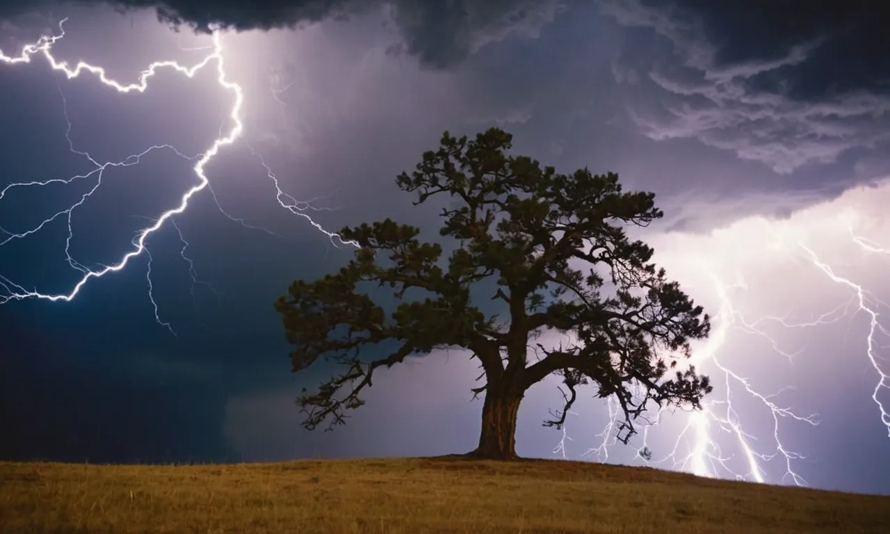 Zeus Tattoo Meaning: Unveiling The Symbolism Of The King Of Gods ...